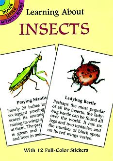 Learning about Insects - Dover Books