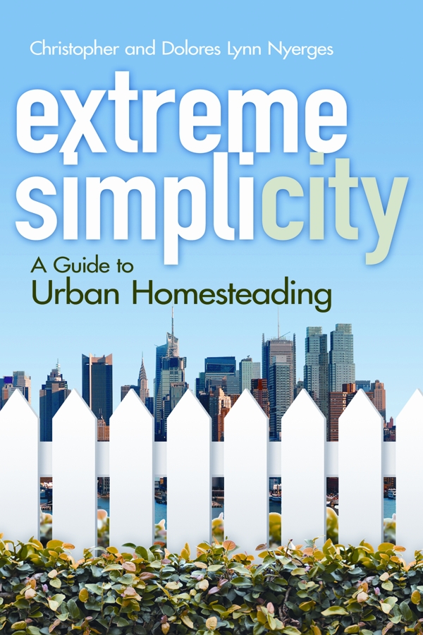 Extreme Simplicity - Dover Books