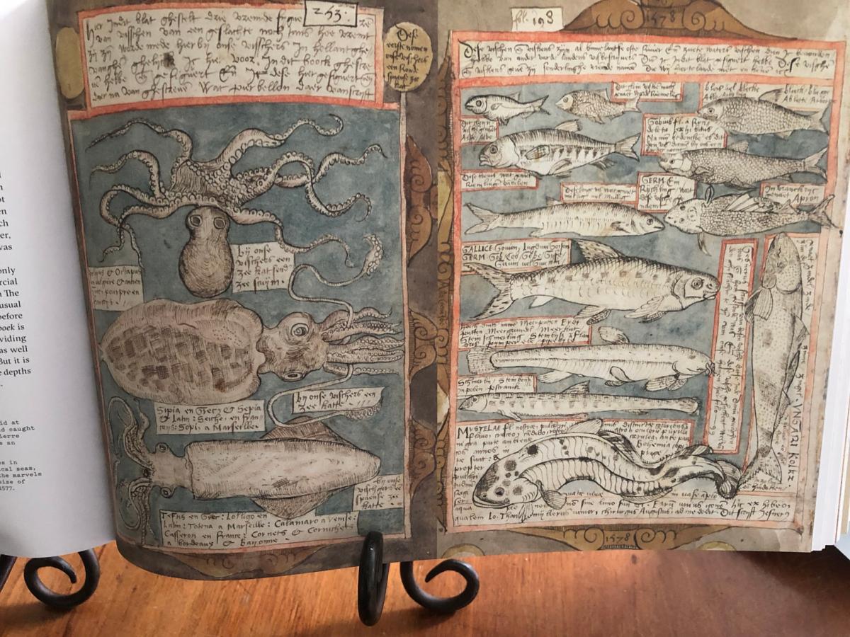 The Sea Journal : Seafarers Sketchbooks - Dover Books