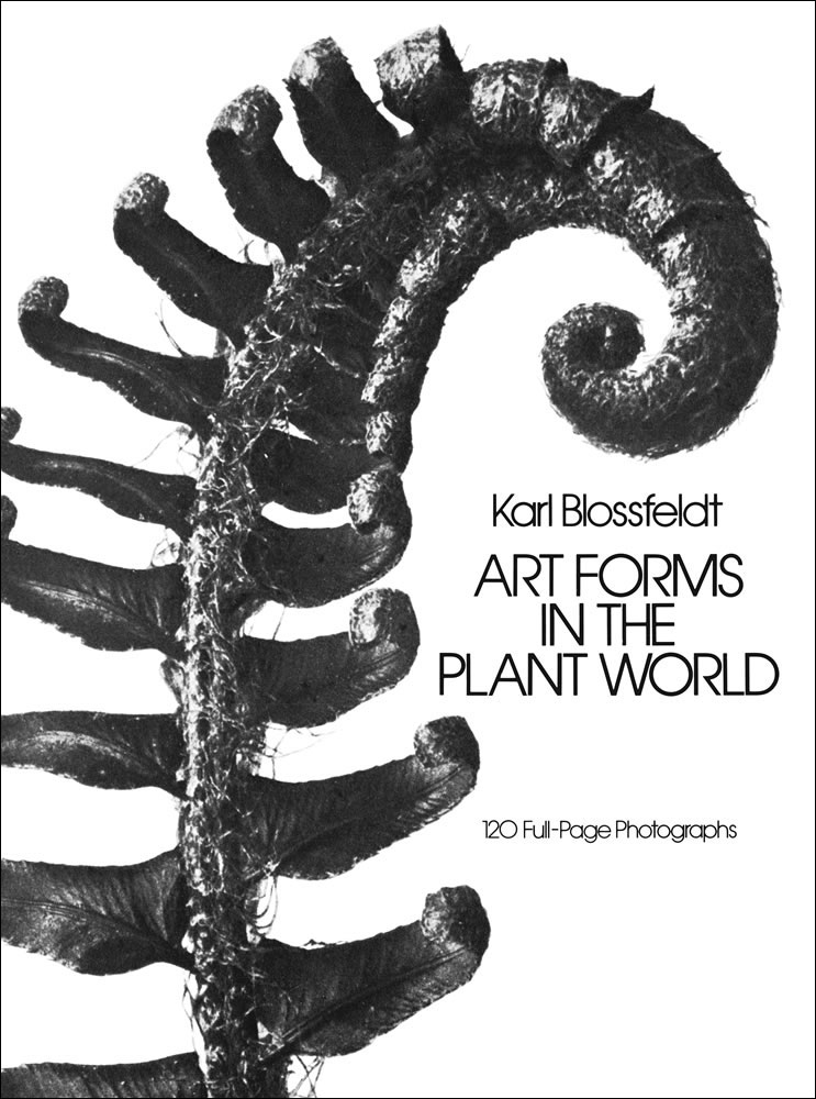 Art Forms in the Plant World - Dover Books