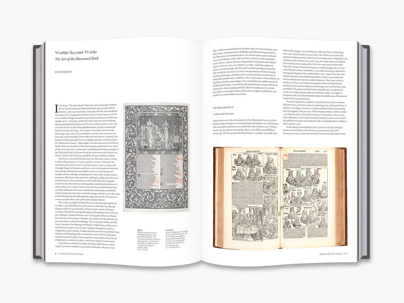 The Art of the Illustrated Book - Dover Books