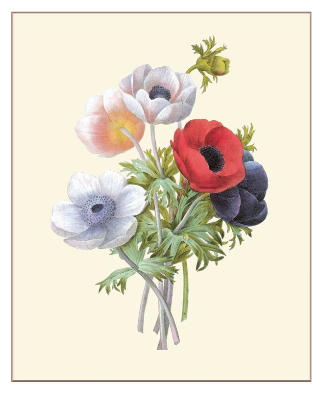 Redoute Fabulous Flowers - Dover Books
