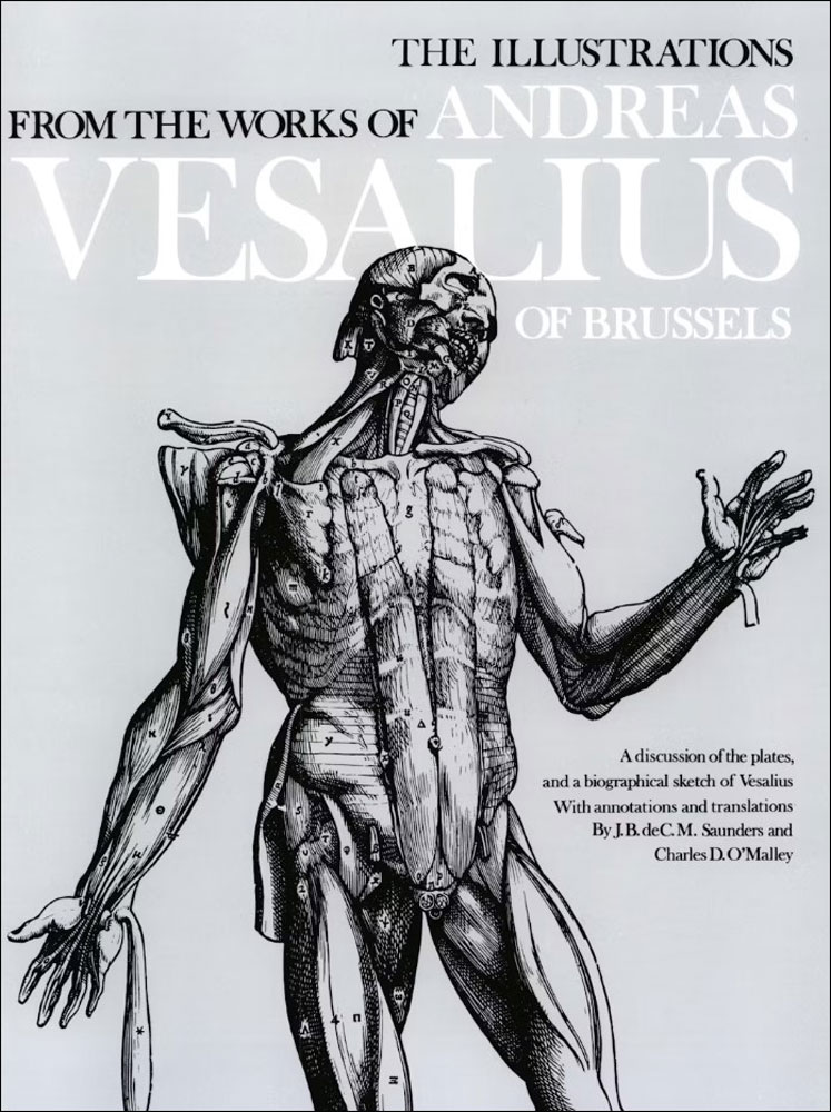 Andreas Vesalius